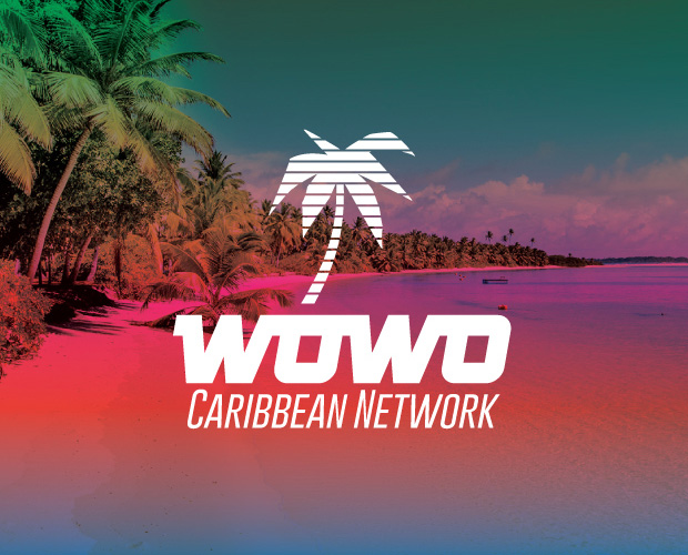 Logo Design - Design Develop Now, Inc.